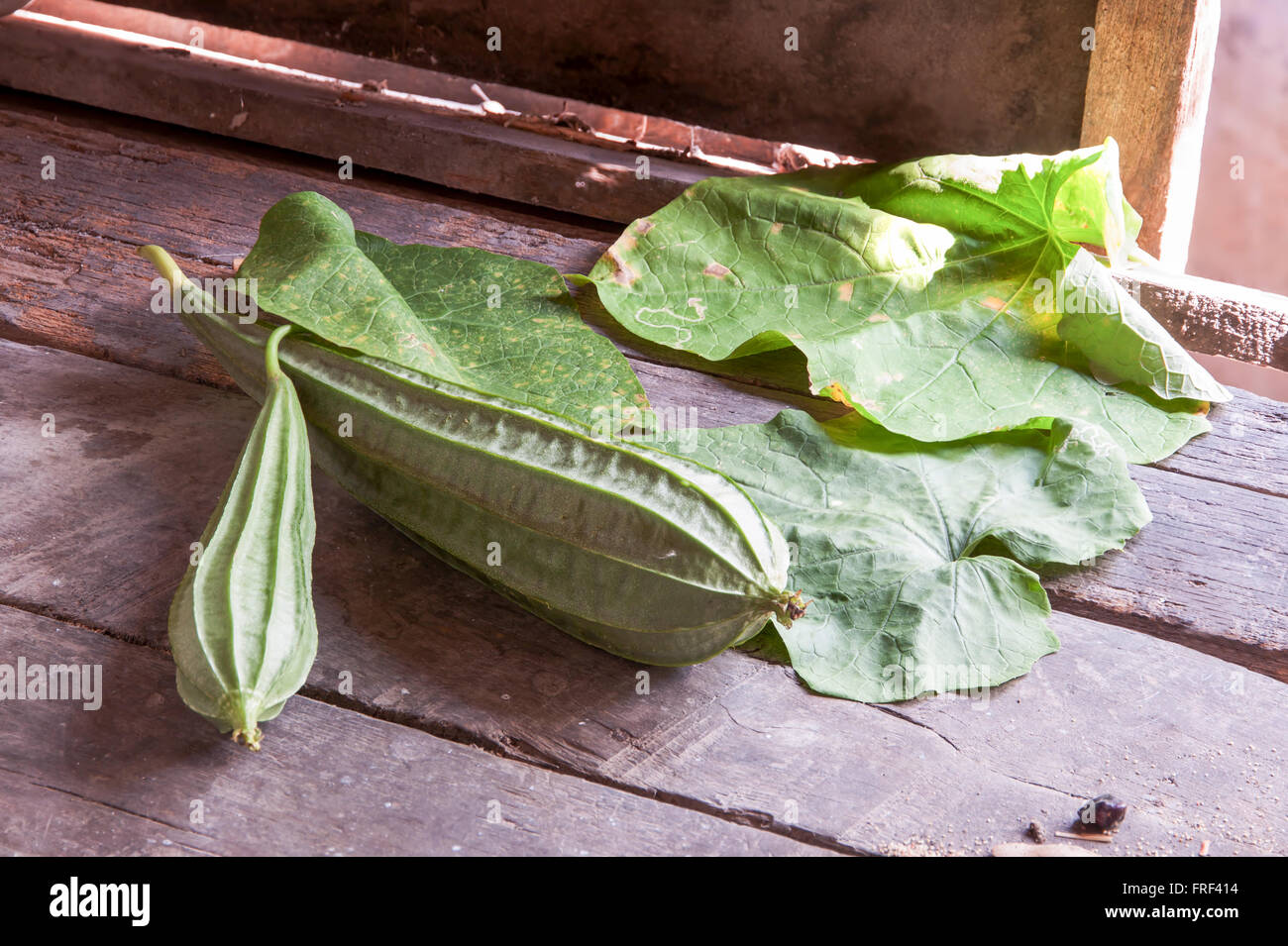 Angled gourd hi-res stock photography and images - Alamy