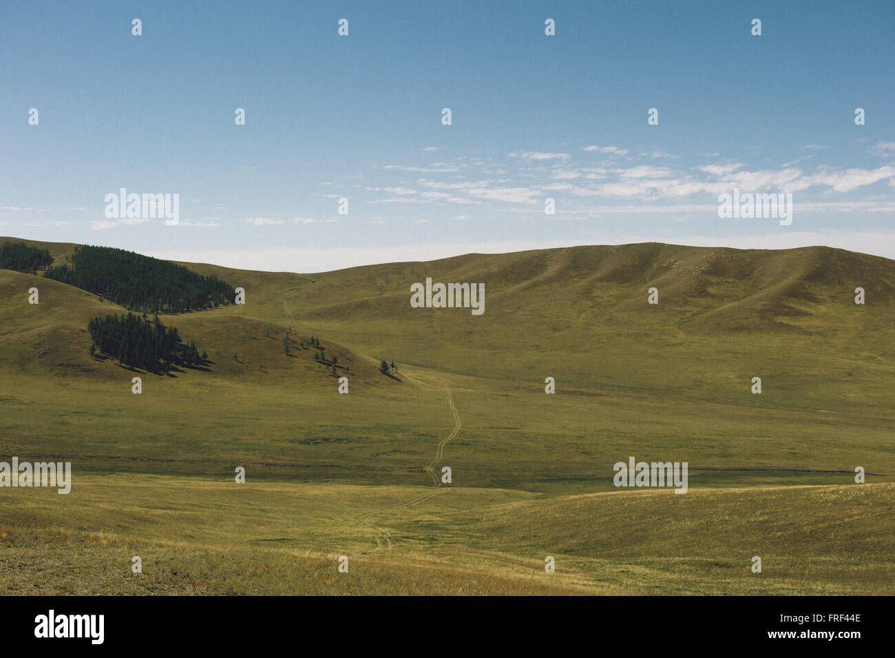 A Mongolian landscape Stock Photo - Alamy