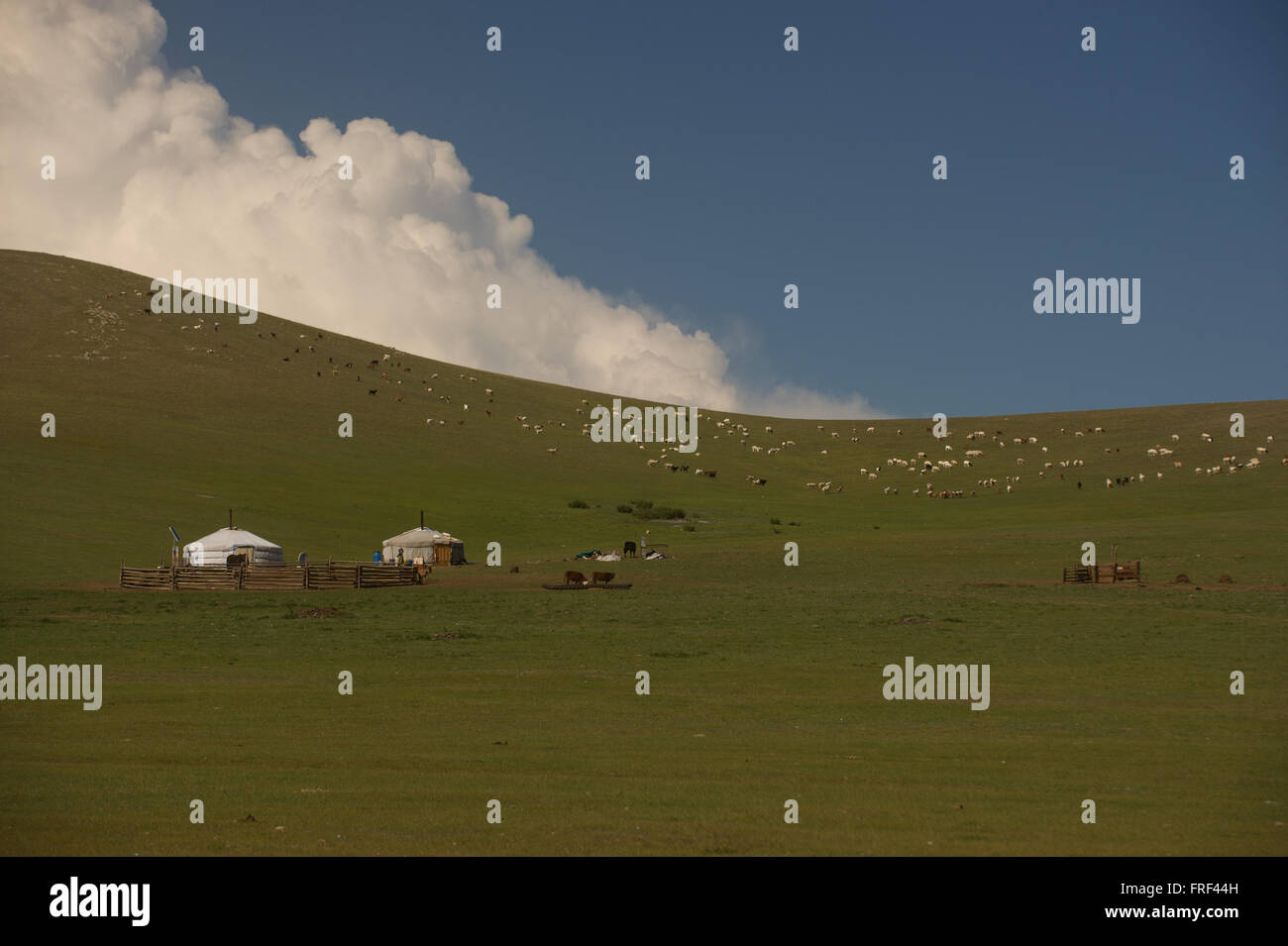 A Mongolian landscape Stock Photo - Alamy
