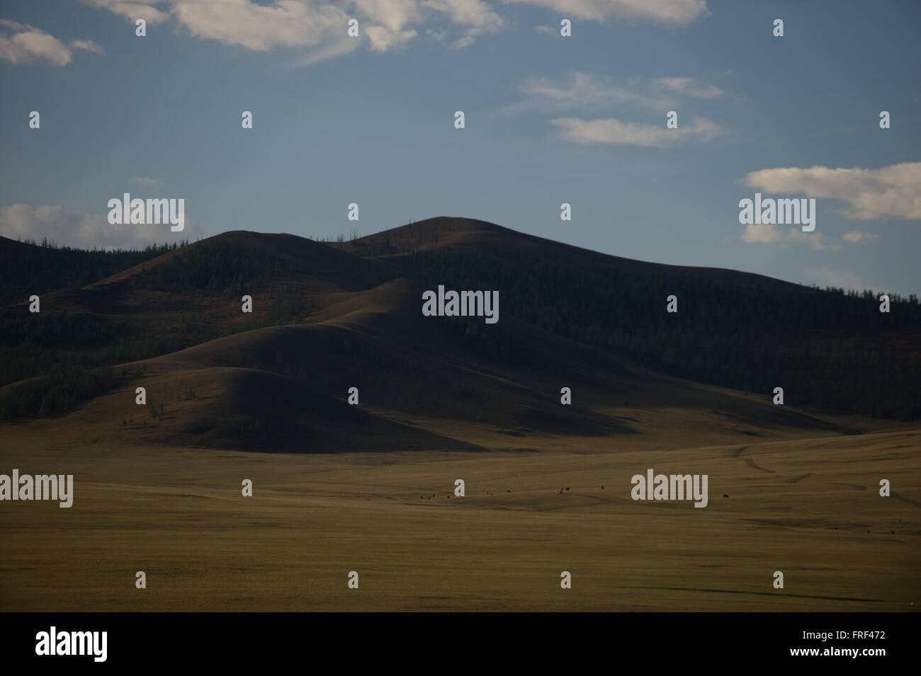 A Mongolian landscape Stock Photo - Alamy