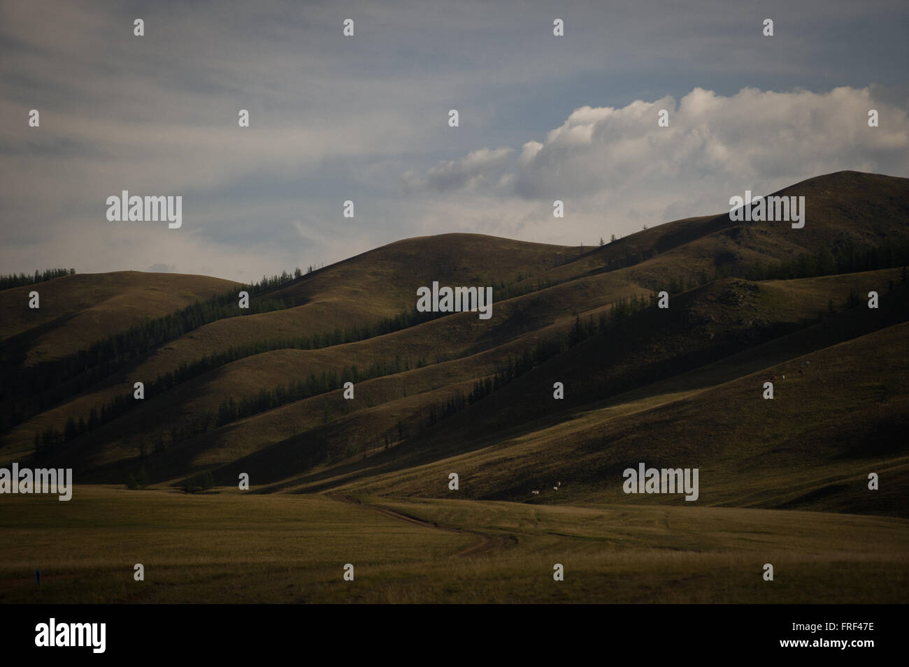 A Mongolian landscape Stock Photo - Alamy