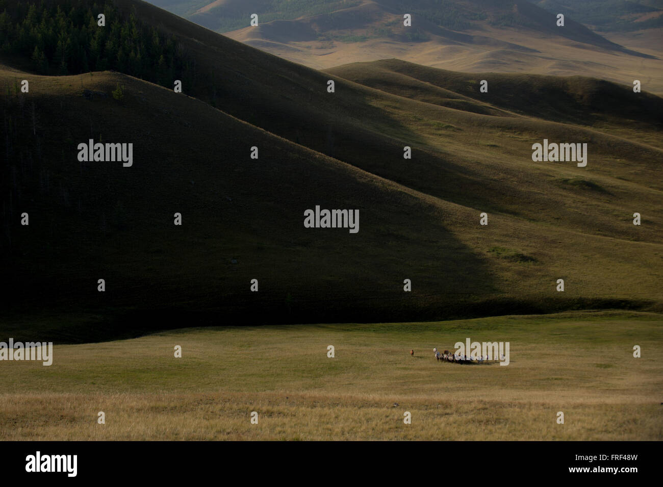 A Mongolian landscape Stock Photo - Alamy