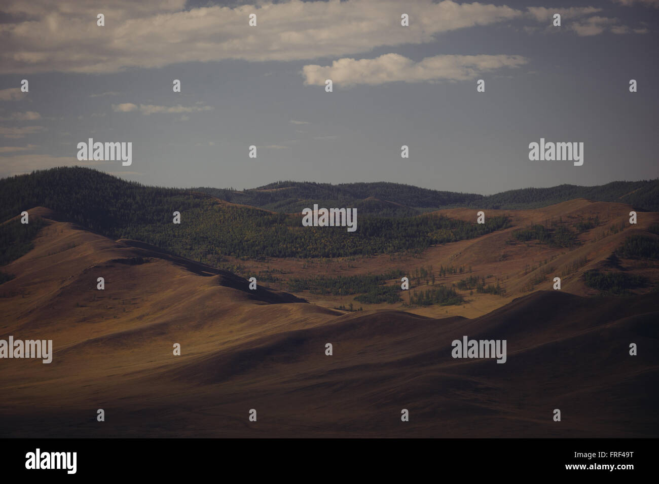 A Mongolian landscape Stock Photo - Alamy