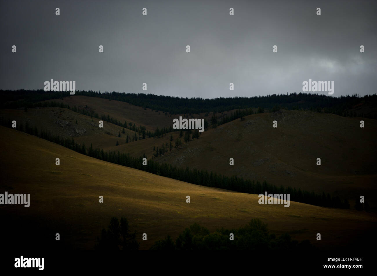 A Mongolian landscape Stock Photo - Alamy