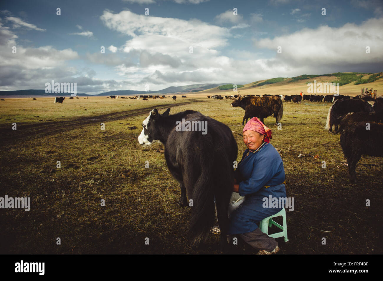A traditional home (ger or yurt) and farm on the Mongolian steppe Stock ...