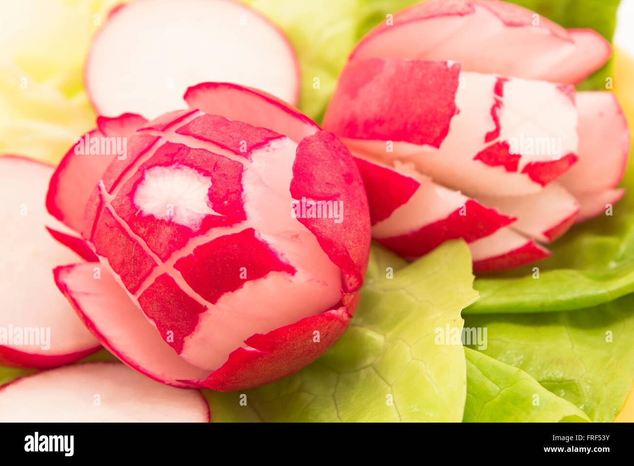 Salad of radishes and lettuce Stock Photo - Alamy