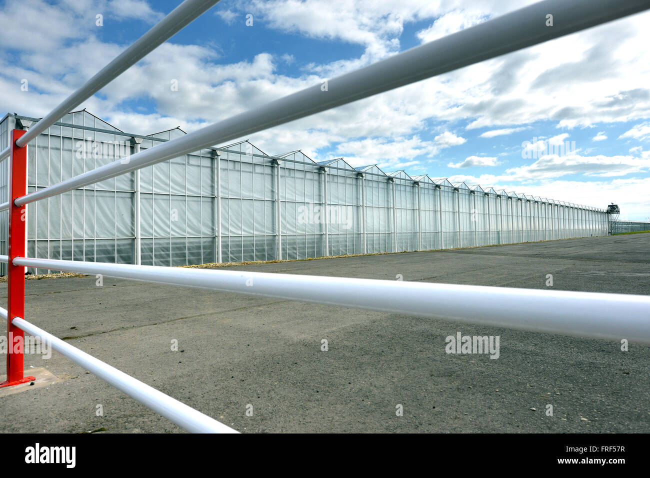 Tangmere Airfield nursery, One of Europe's largest pepper growing ...