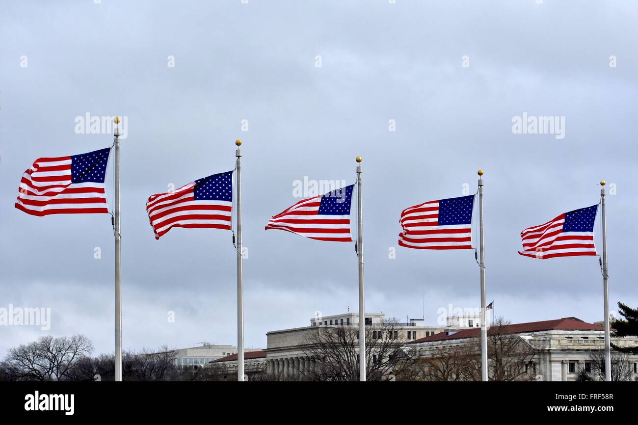 USA flags in DC Stock Photo - Alamy
