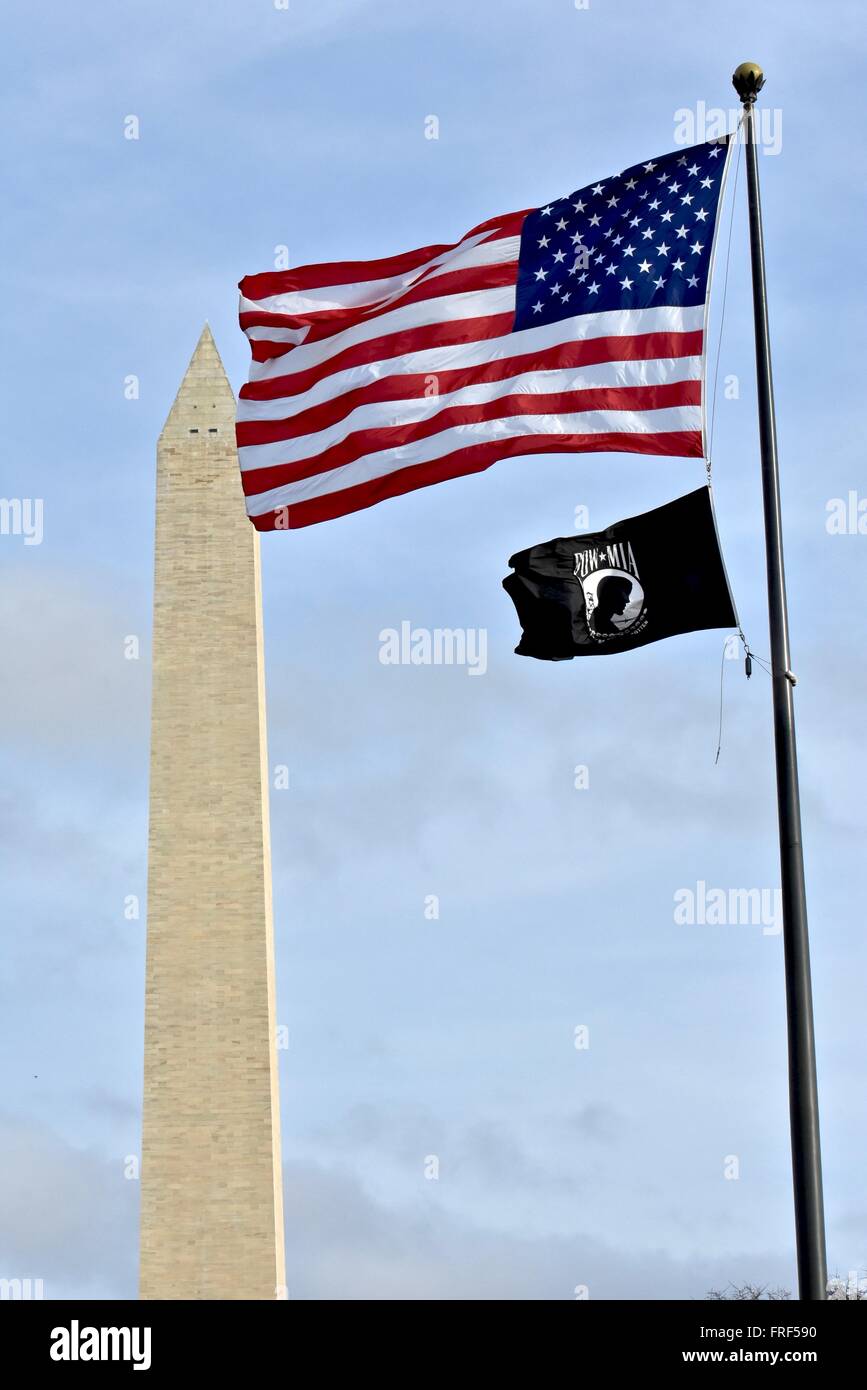 USA flags in DC Stock Photo - Alamy