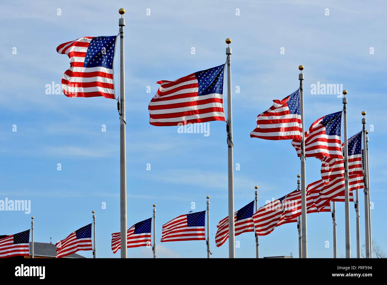 USA flags in DC Stock Photo - Alamy