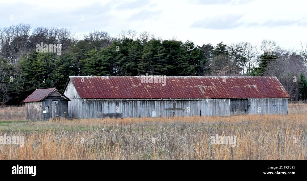 Farm barn in a field Stock Photo - Alamy