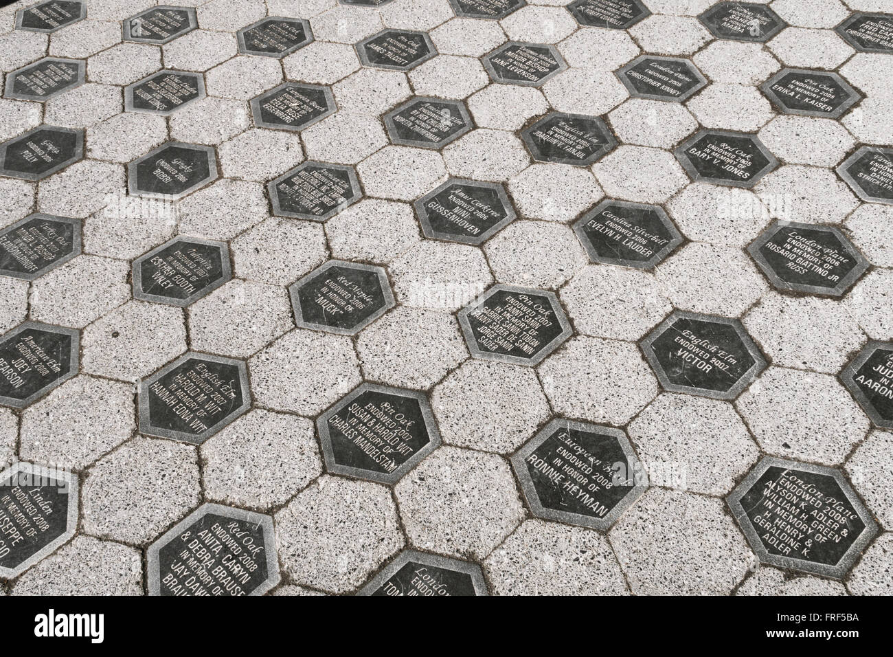 Engraved Paving Stones on Literary Walk, Central Park, NYC Stock Photo ...