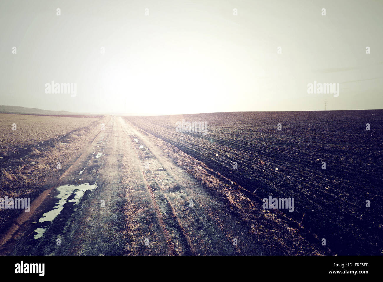Country road in cold vintage colors. Outdoor concept Stock Photo - Alamy