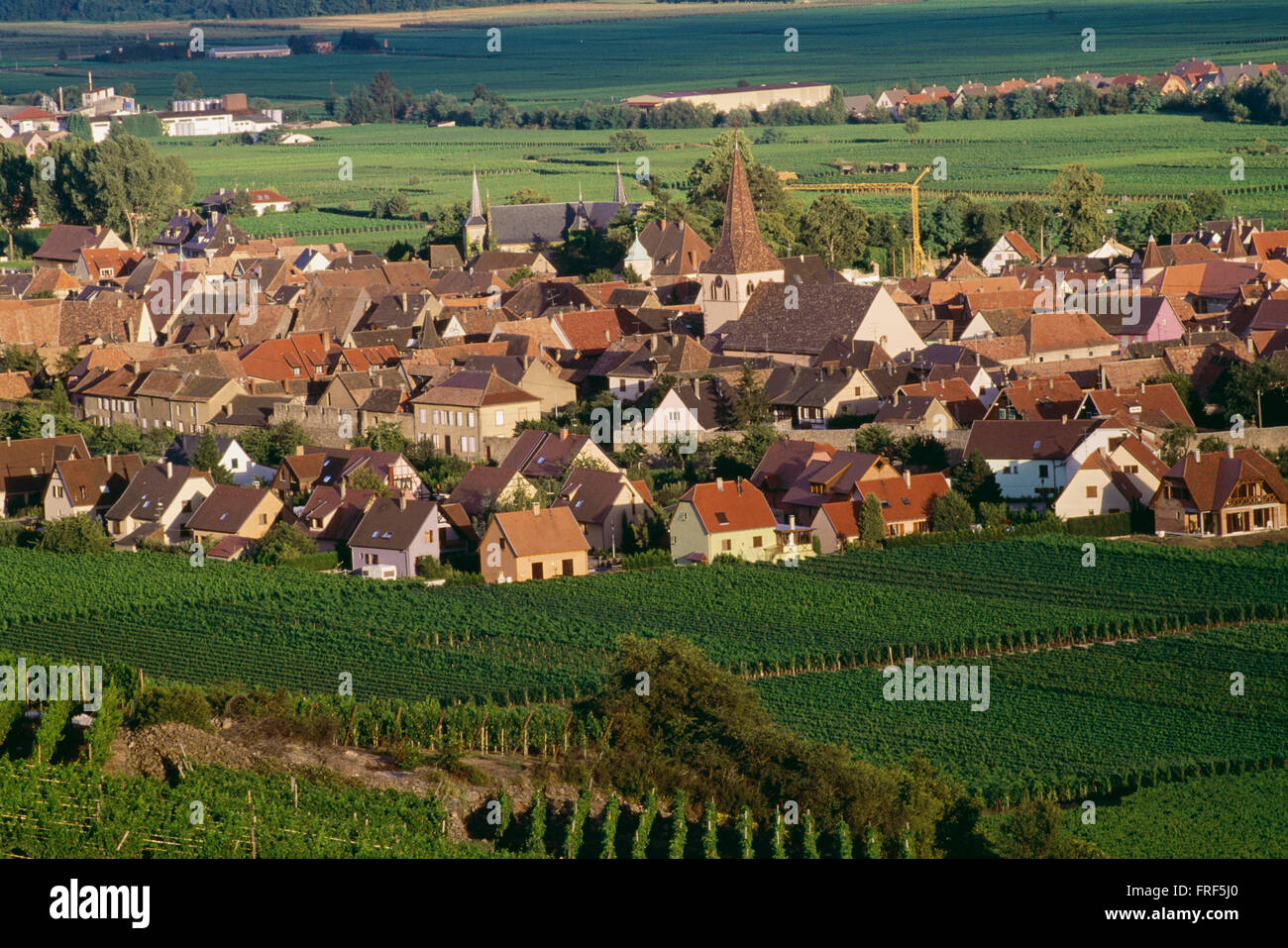 Town of Kientzheim surrounded by Vineyards, Alsace, France Stock Photo ...