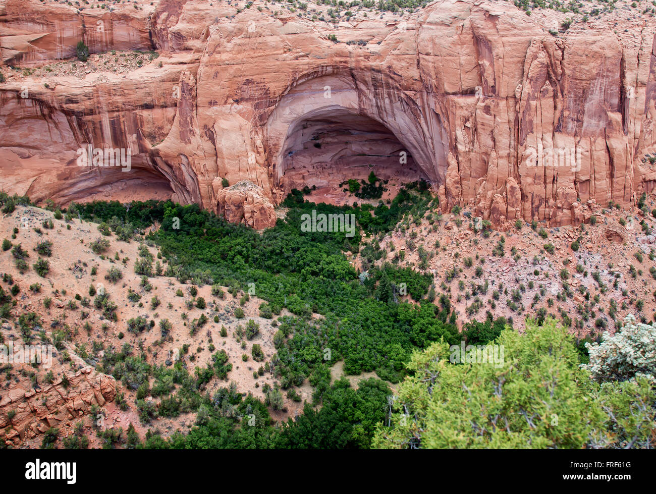 Ancient native American ruins in Navajo National Monument, Arizona ...