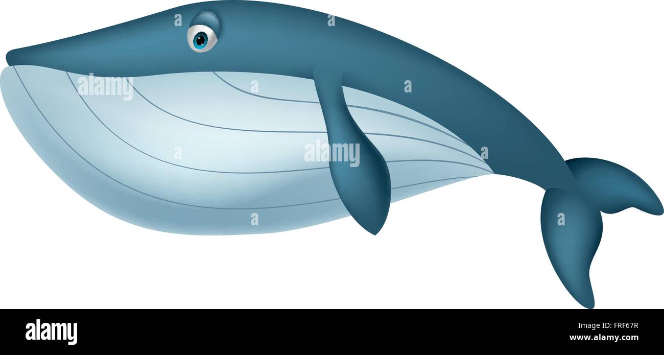 Cute whale cartoon Stock Vector Image & Art - Alamy
