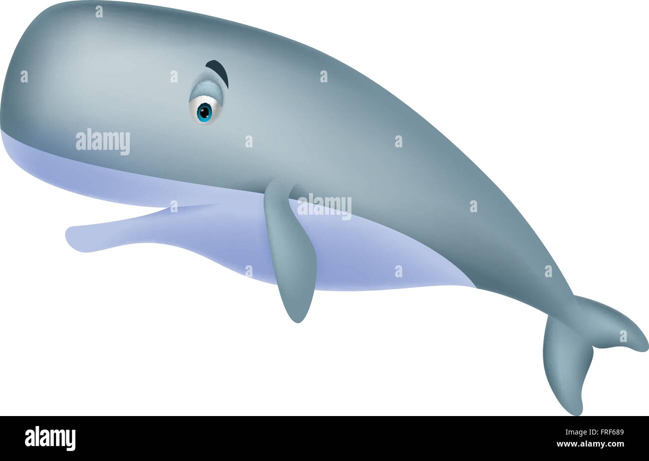 Cute whale cartoon Stock Vector Image & Art - Alamy