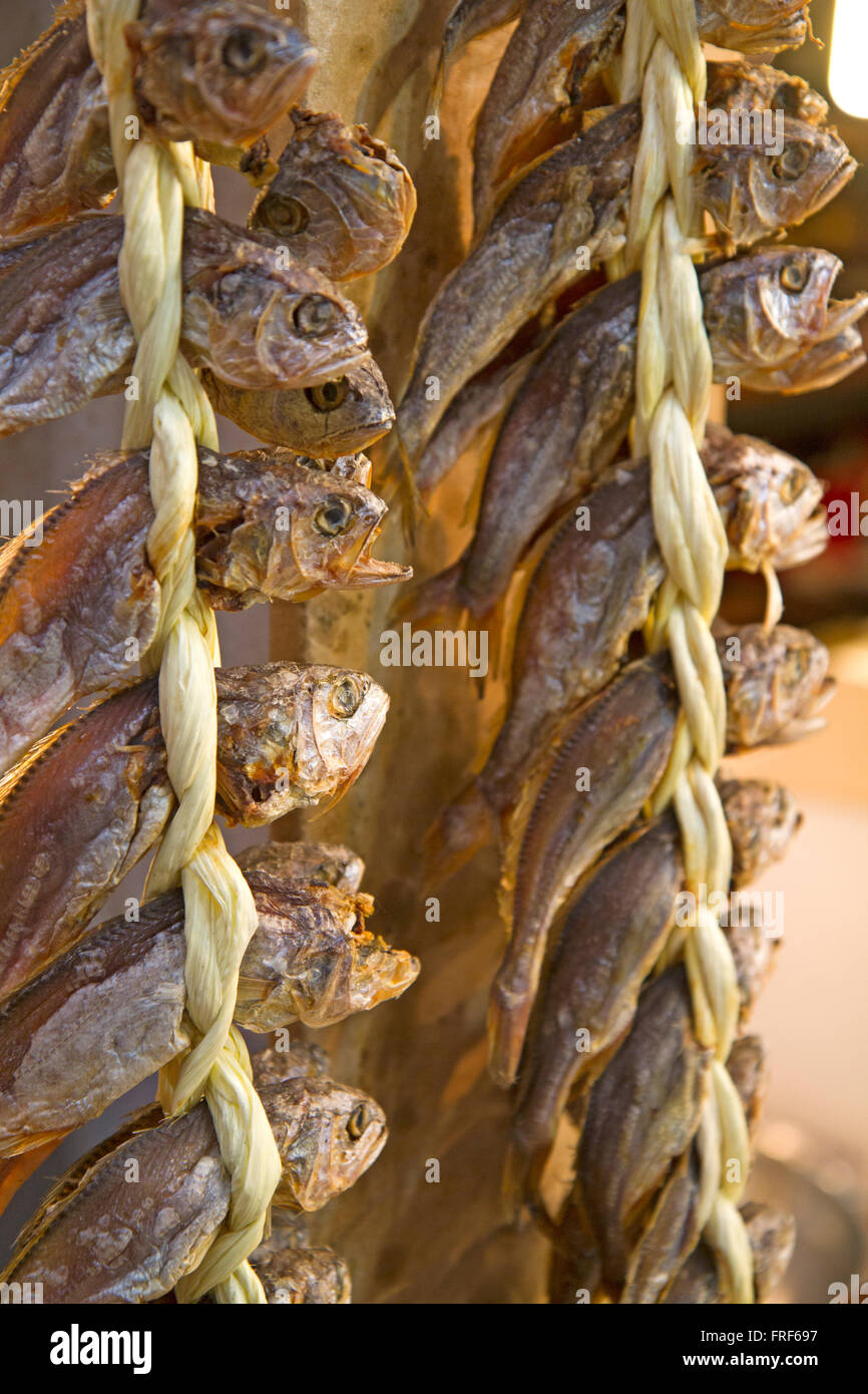 Dried fish for sale in the Gwangjang Market in Seoul Stock Photo - Alamy