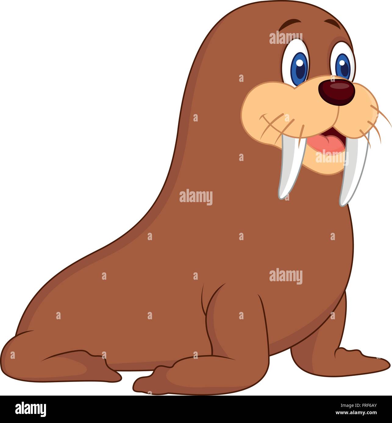 Cute walrus cartoon Stock Vector Image & Art - Alamy