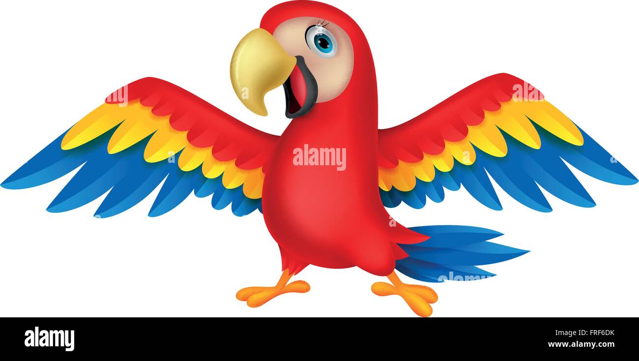 Macaw bird cartoon Stock Vector Image & Art - Alamy