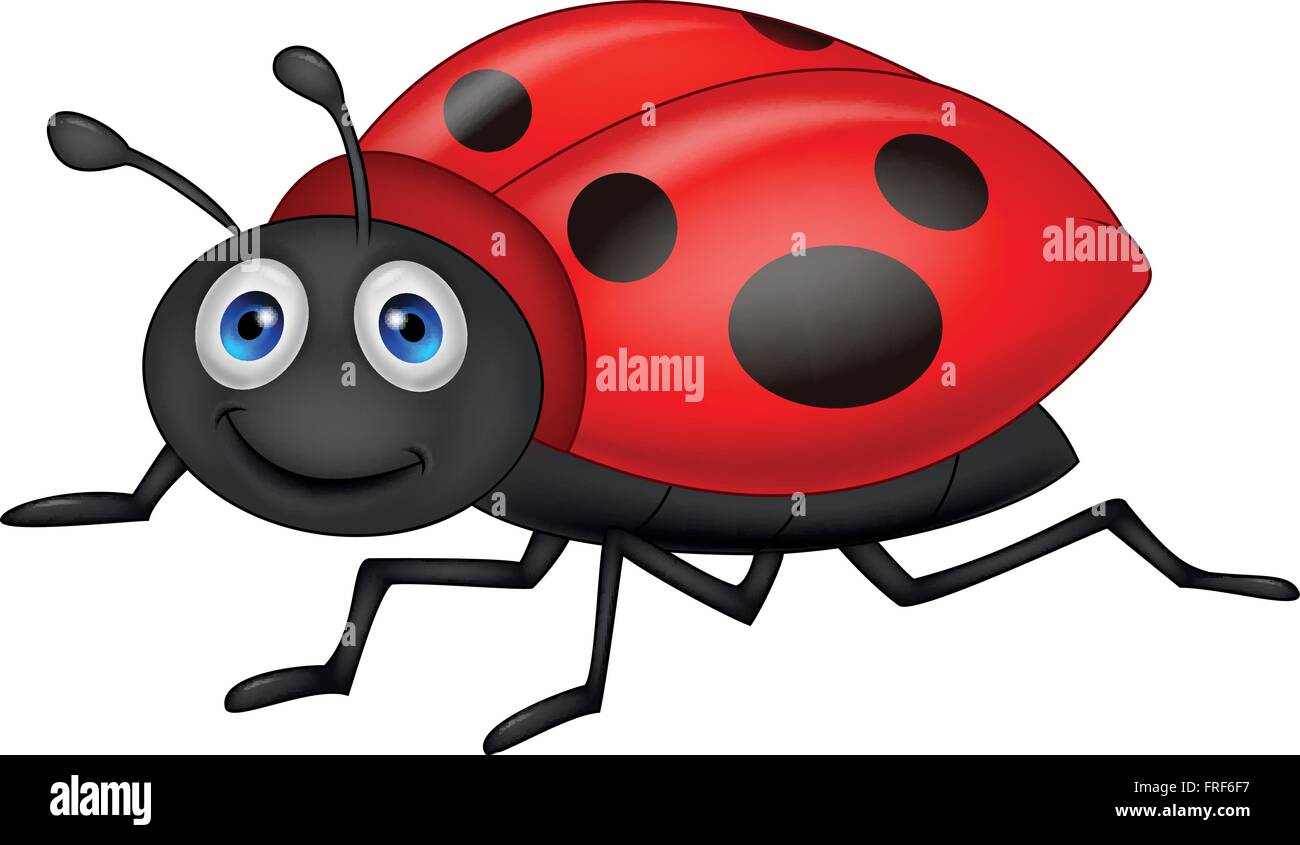 Cute ladybug cartoon Stock Vector Image & Art - Alamy