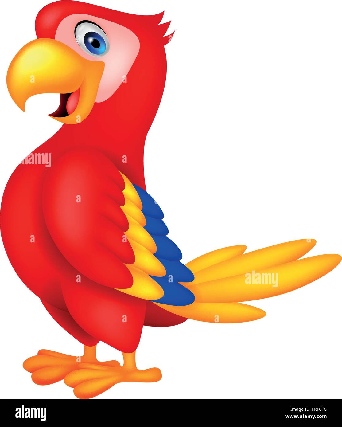 Cute Cartoon Macaw
