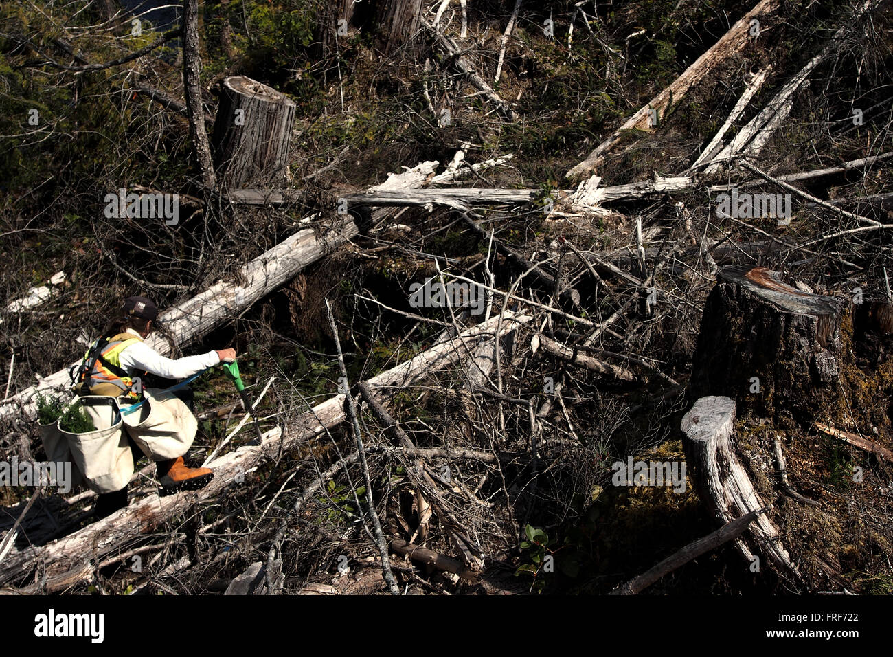 Extreme Planting - 17/05/2012 - Canada - Jennifer is some fairly steep ...