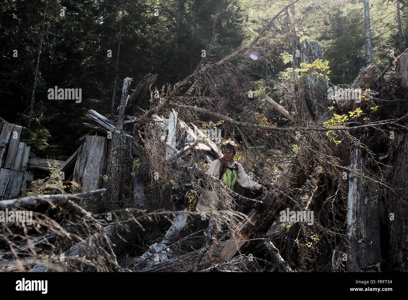 Helicopter logging hi-res stock photography and images - Alamy