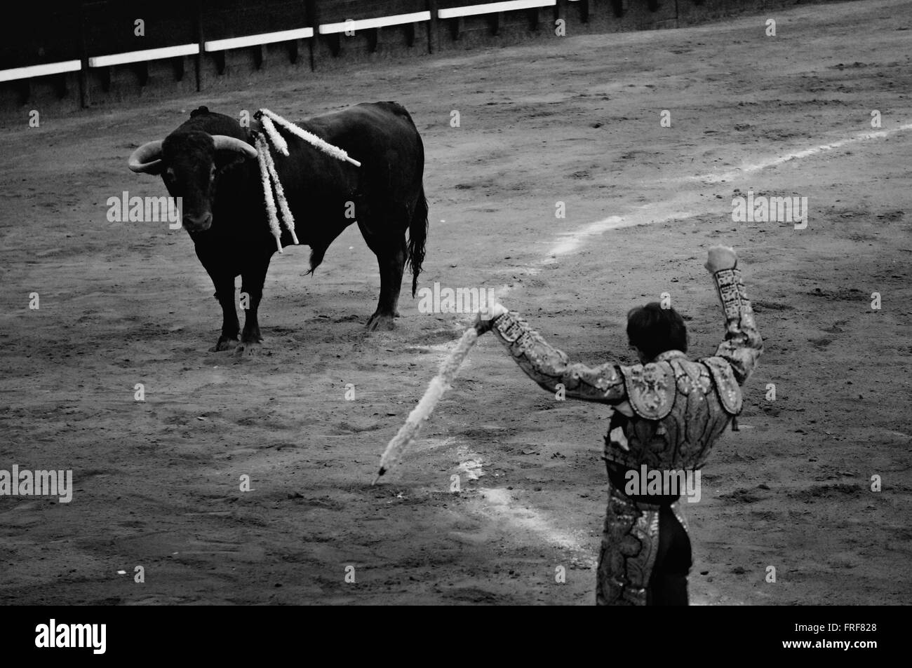 Combat masculin hi-res stock photography and images - Alamy