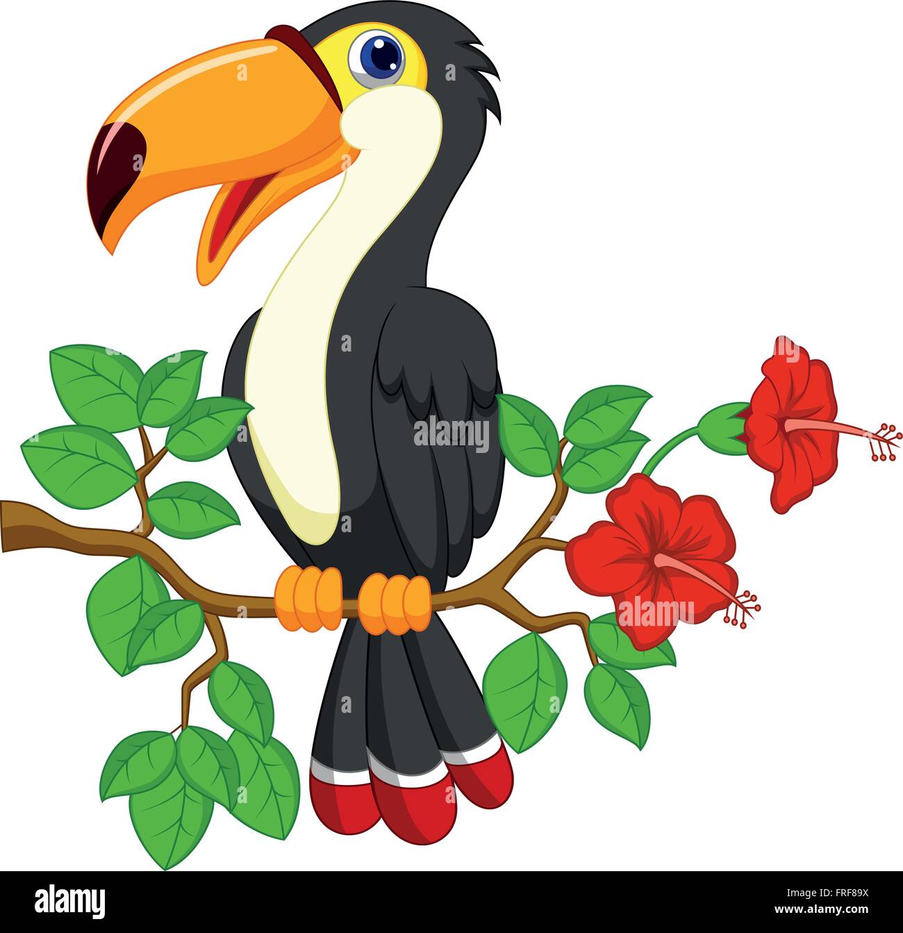 Cute toucan bird cartoon Stock Vector Image & Art - Alamy