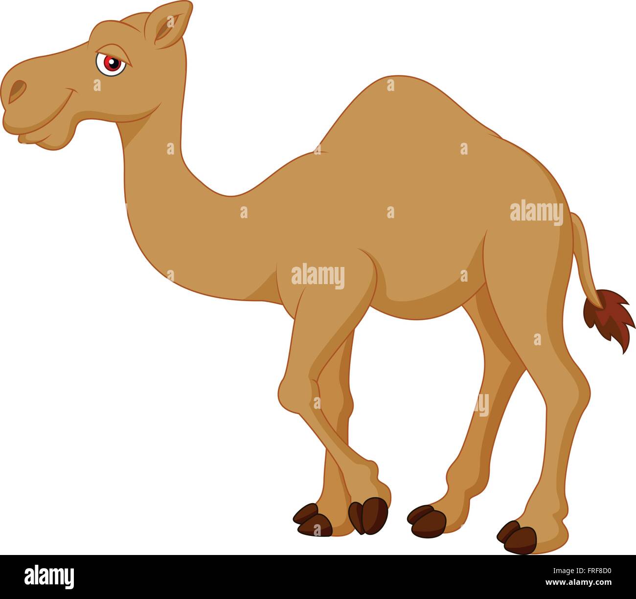 Cute camel cartoon Stock Vector Image & Art - Alamy