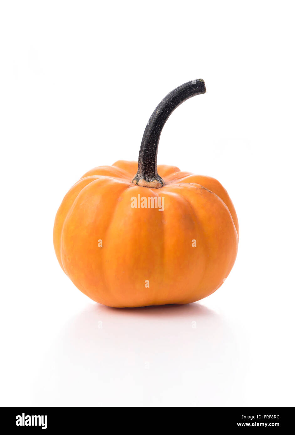 Thanksgiving fall greeting background Cut Out Stock Images & Pictures ...