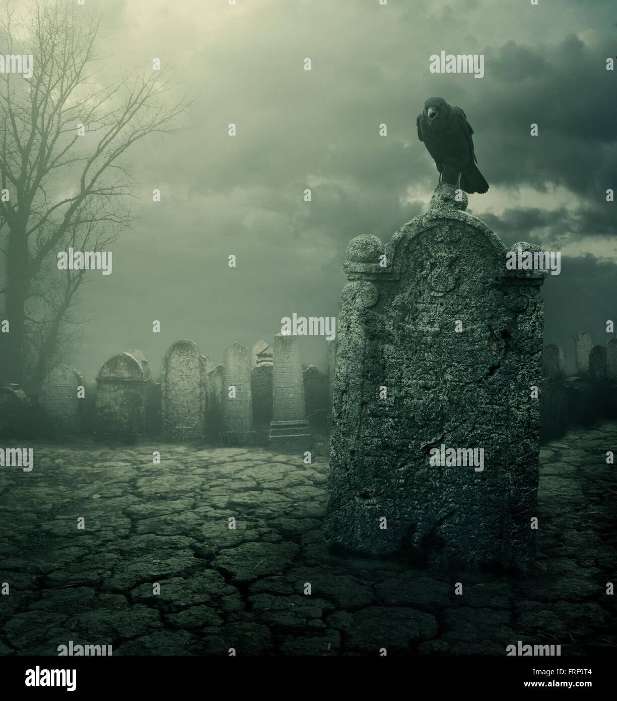 Gothic graveyard raven hi-res stock photography and images - Alamy