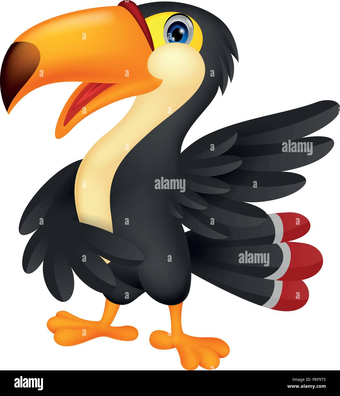 Cute toucan cartoon presenting Stock Vector Image & Art - Alamy