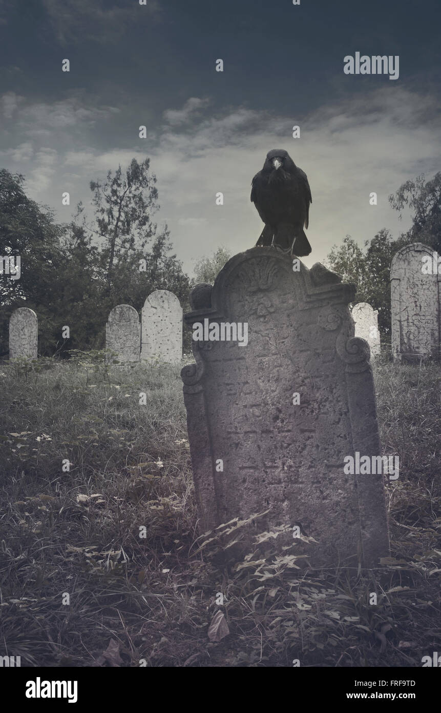 Spooky graveyard with crow on tombstone. Halloween concept Stock Photo ...