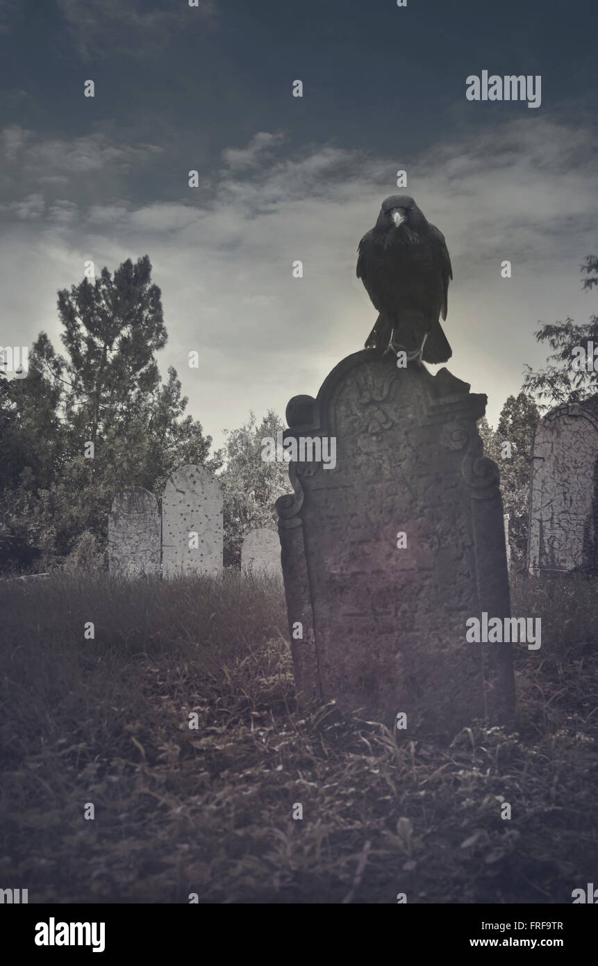 Spooky graveyard with crow on tombstone. Halloween concept Stock Photo ...