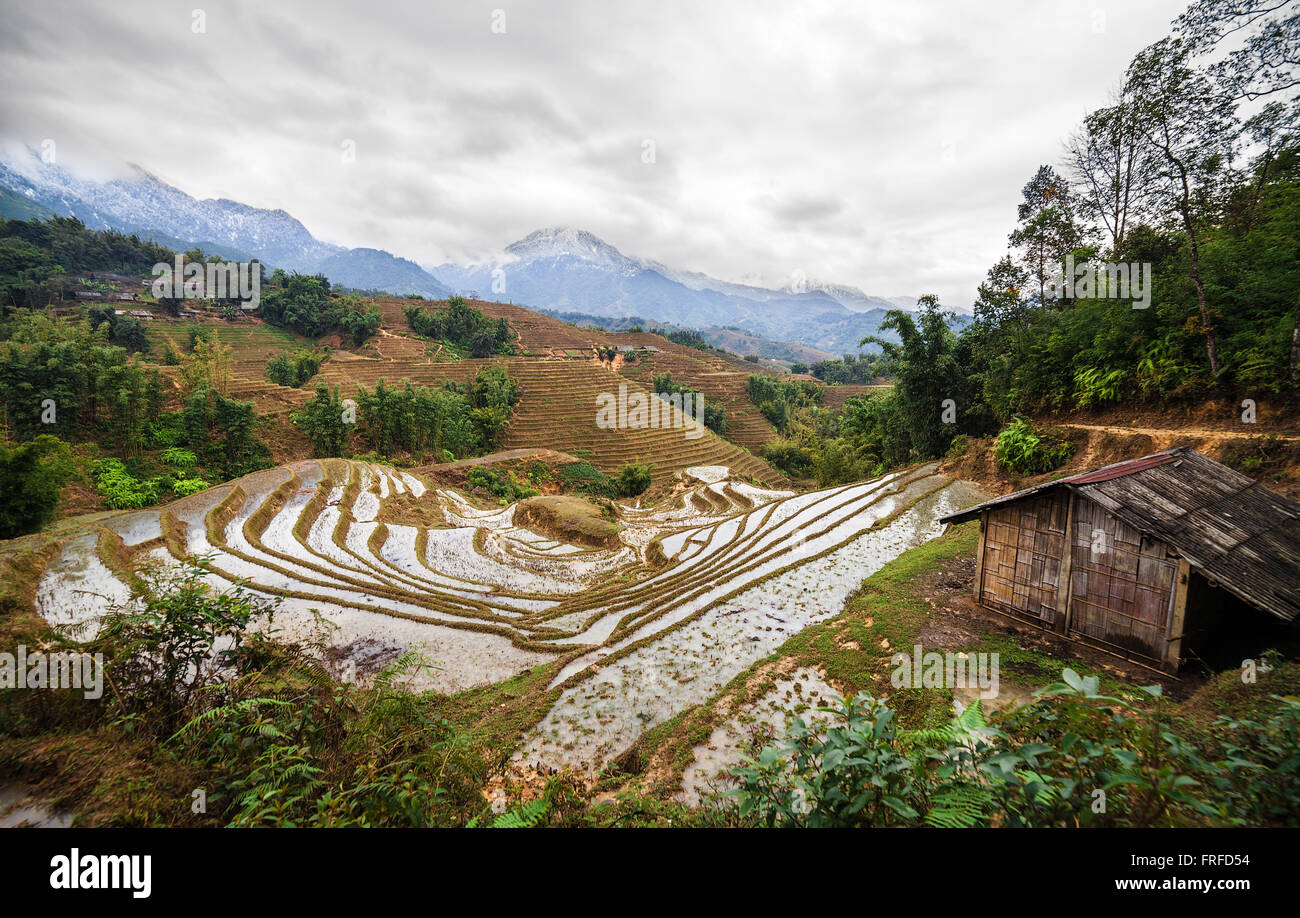 Sapa terraces hi-res stock photography and images - Alamy