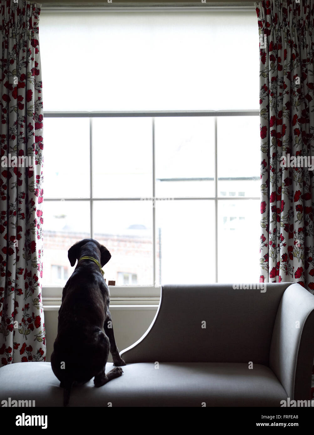 Chaise window hi-res stock photography and images - Alamy