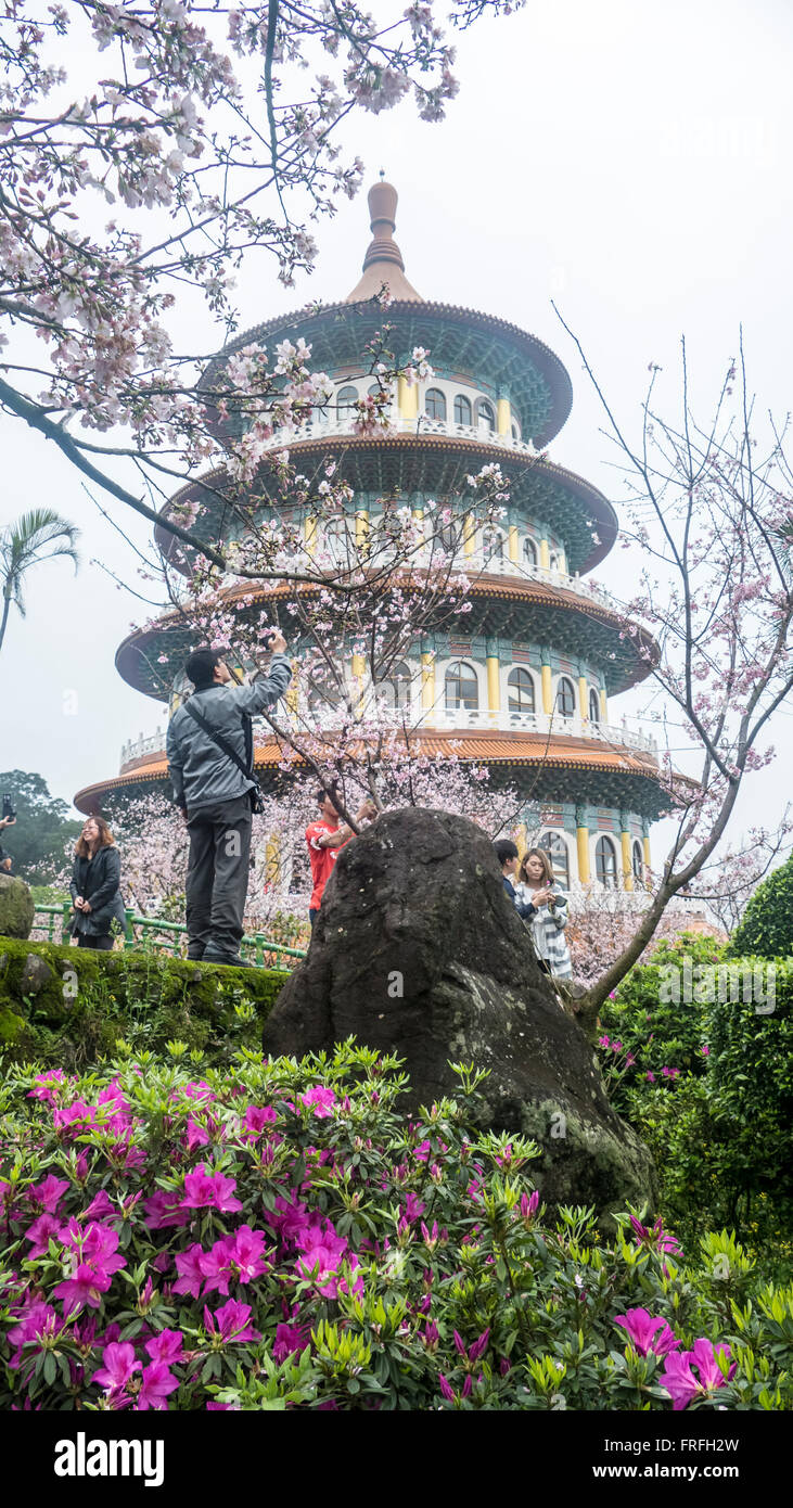 New Taipei City, Taiwan - 22 March, 2016 : Tien-Yuan temple with cherry ...