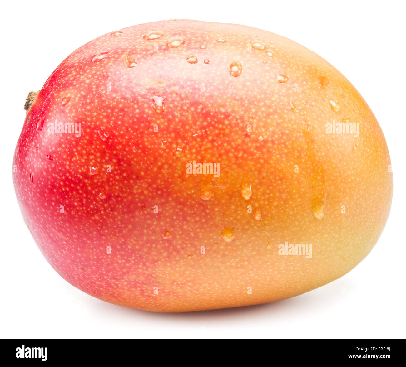 Mango fruit with water drops. Isolated on a white background Stock ...