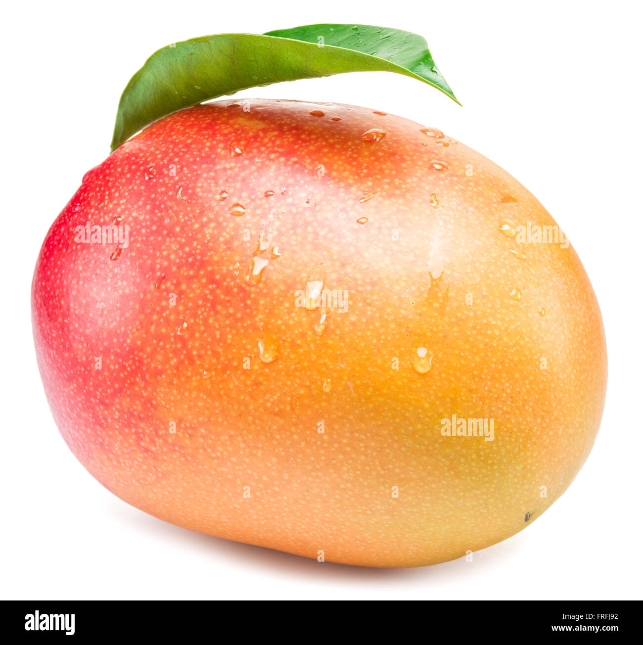 Mango fruit with water drops. Isolated on a white background Stock ...