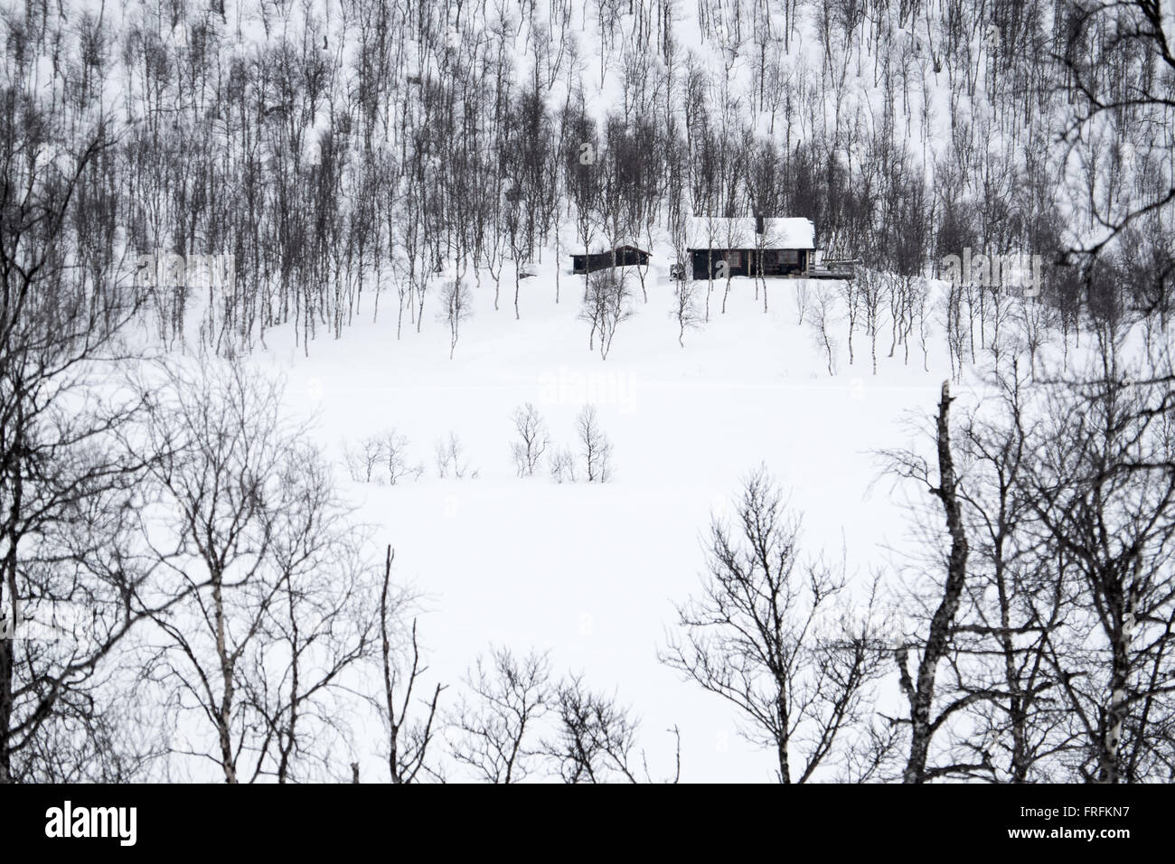 Cabin in the Norwegian woods in deep snow Stock Photo - Alamy