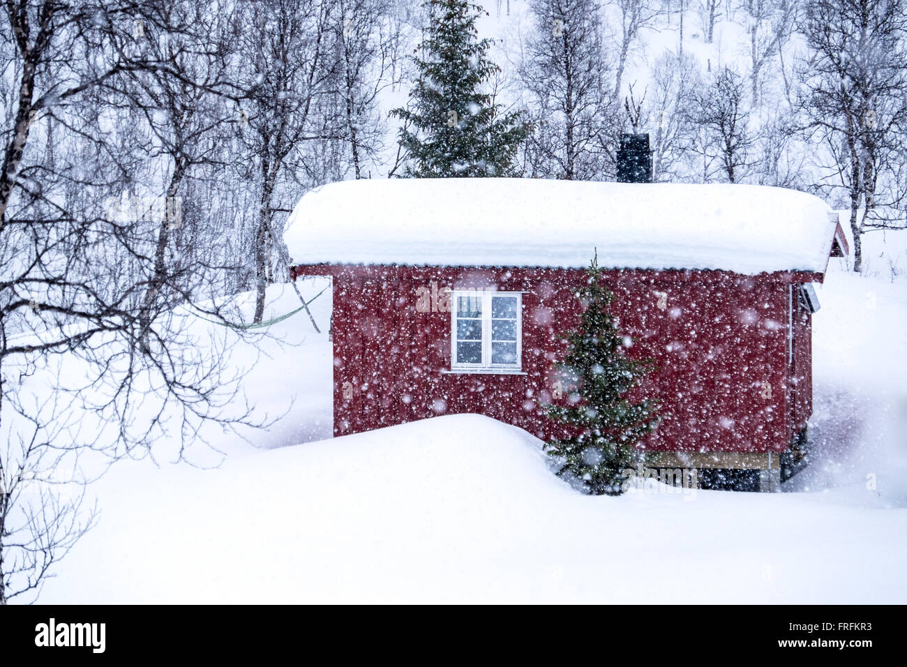 Cabin in the Norwegian woods in deep snow Stock Photo - Alamy