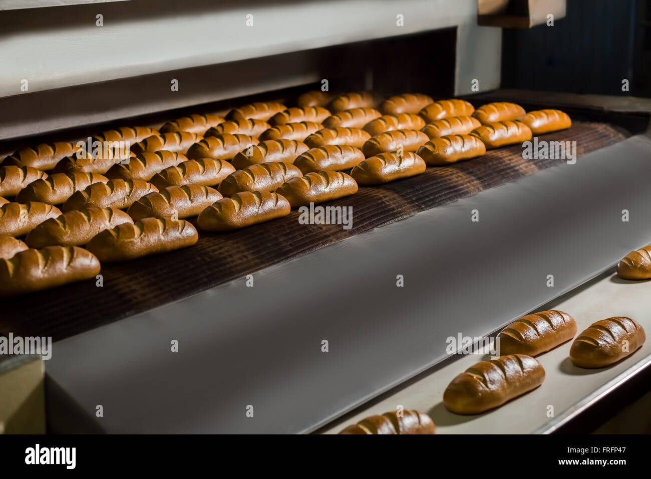 Fresh buns from the oven Stock Photo - Alamy