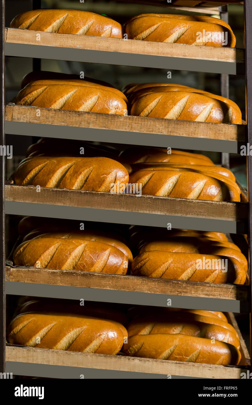 Fresh golden bread on the shelves Stock Photo - Alamy