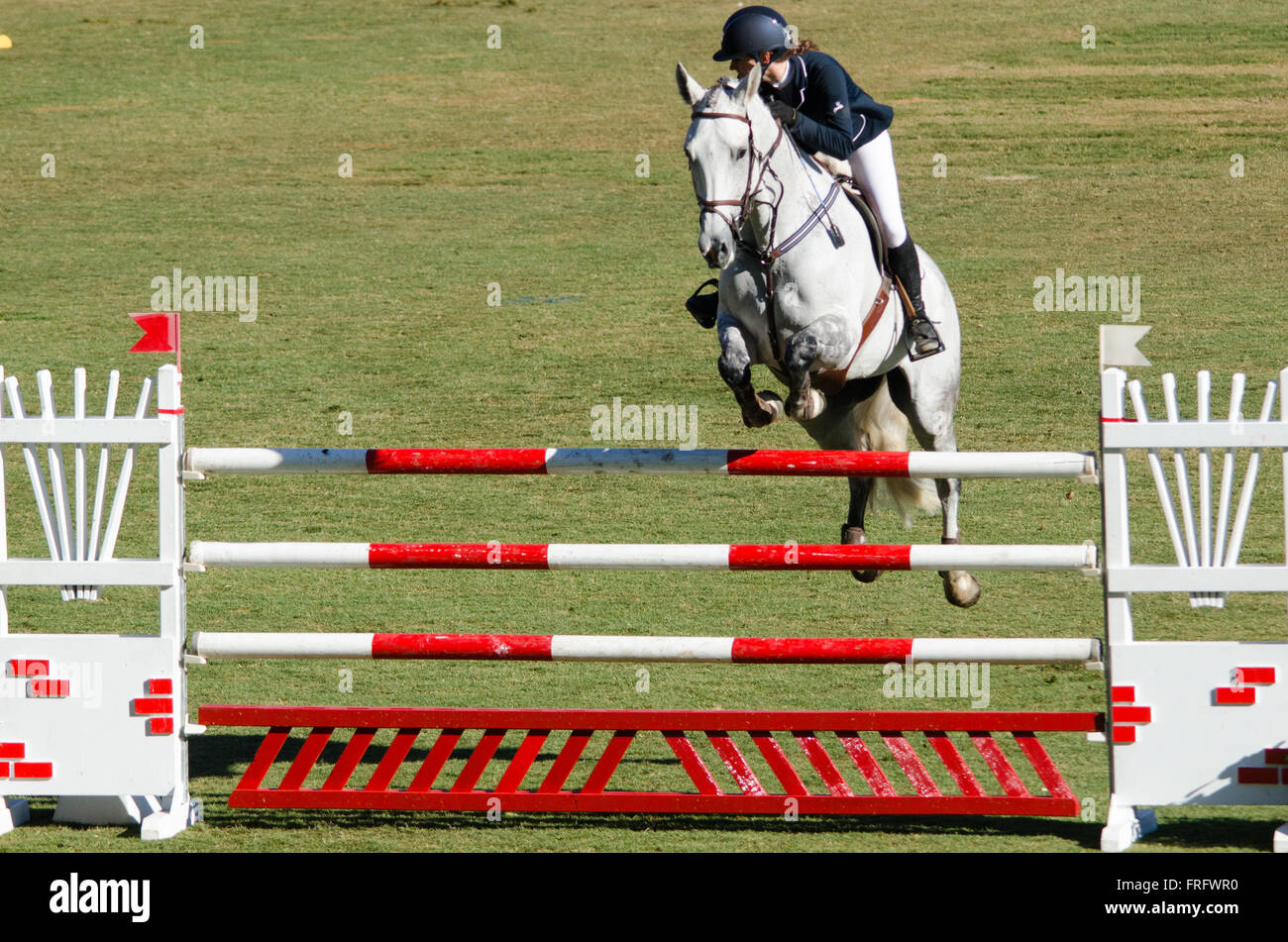 Stadium jumping hi-res stock photography and images - Alamy