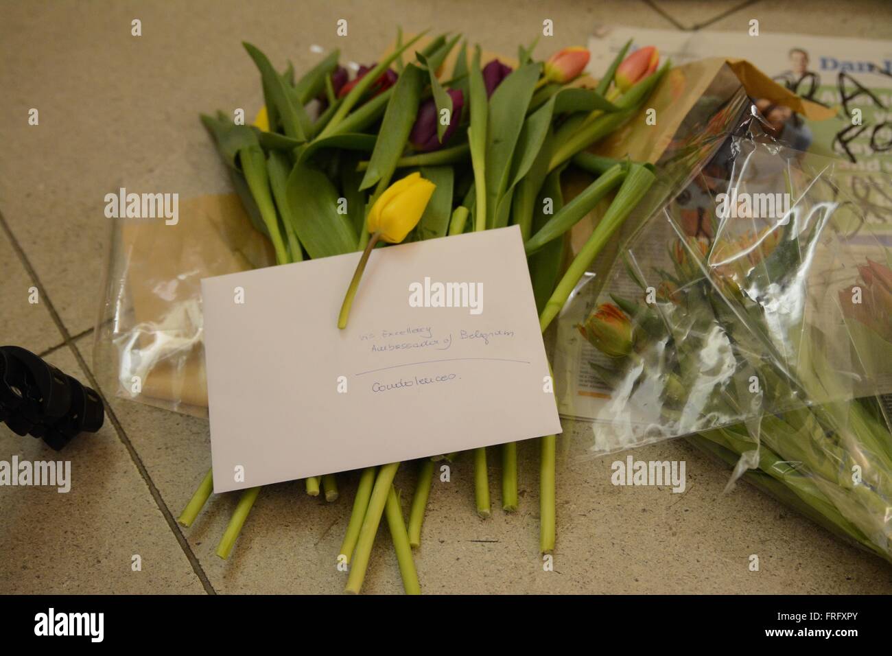 Belgian Embassy London High Resolution Stock Photography and Images - Alamy