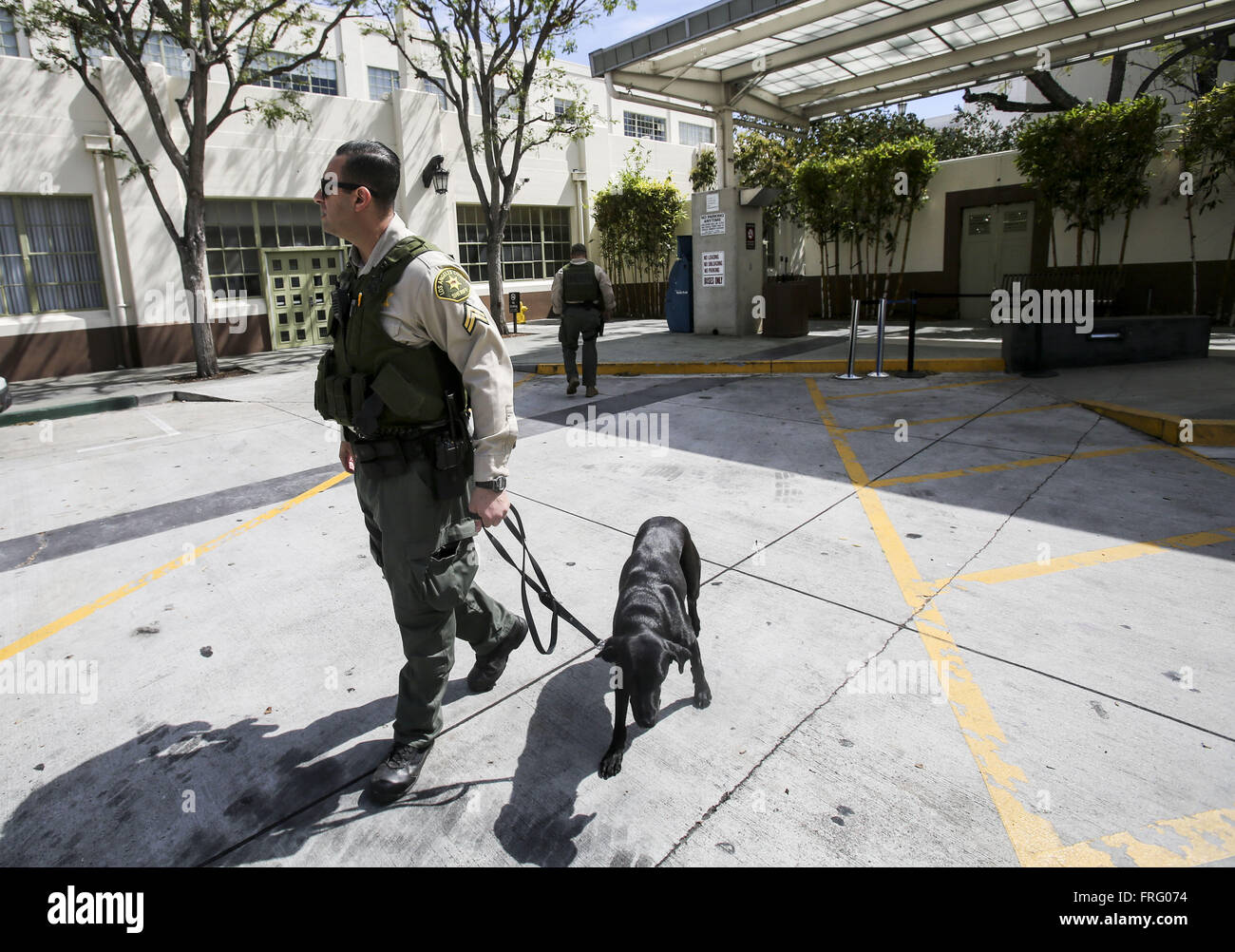 K 9 Dog Stock Photos & K 9 Dog Stock Images - Alamy