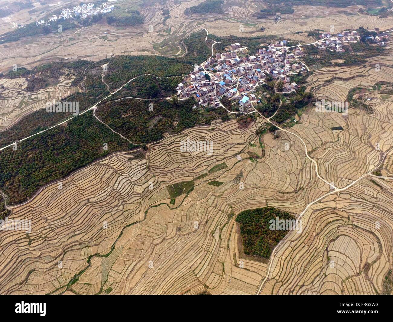 Youngle hi-res stock photography and images - Alamy