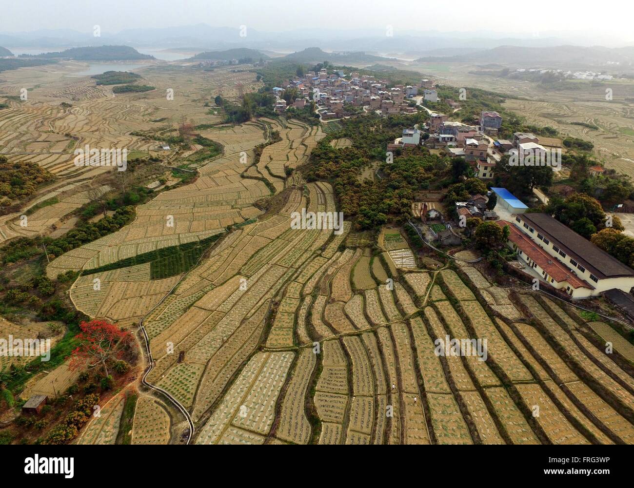 Youngle hi-res stock photography and images - Alamy